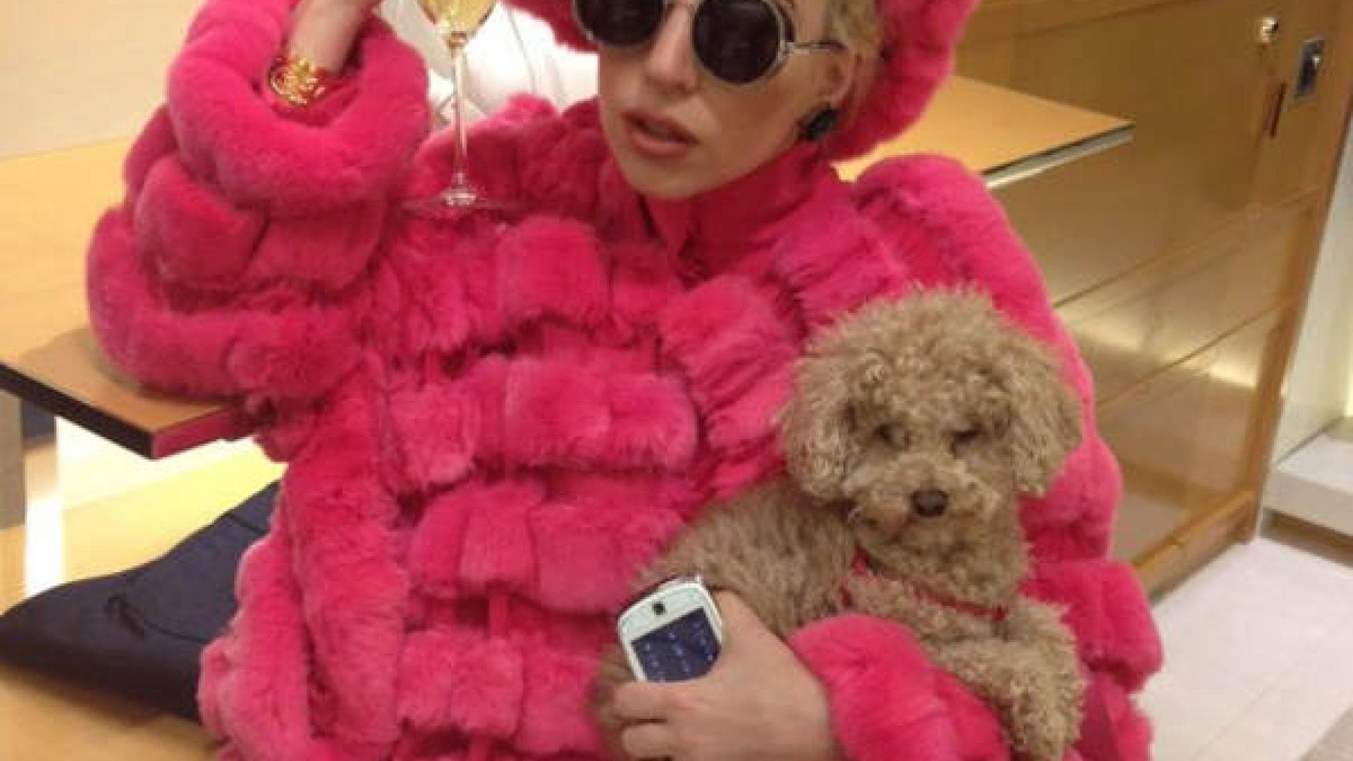 Lady Gaga und Hund Fozzi