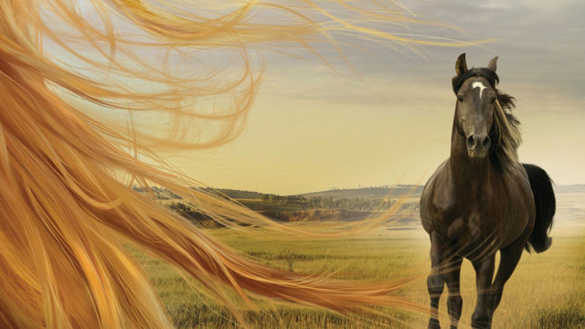 Ostwind 3 – Aufbruch nach Ora - Trailer