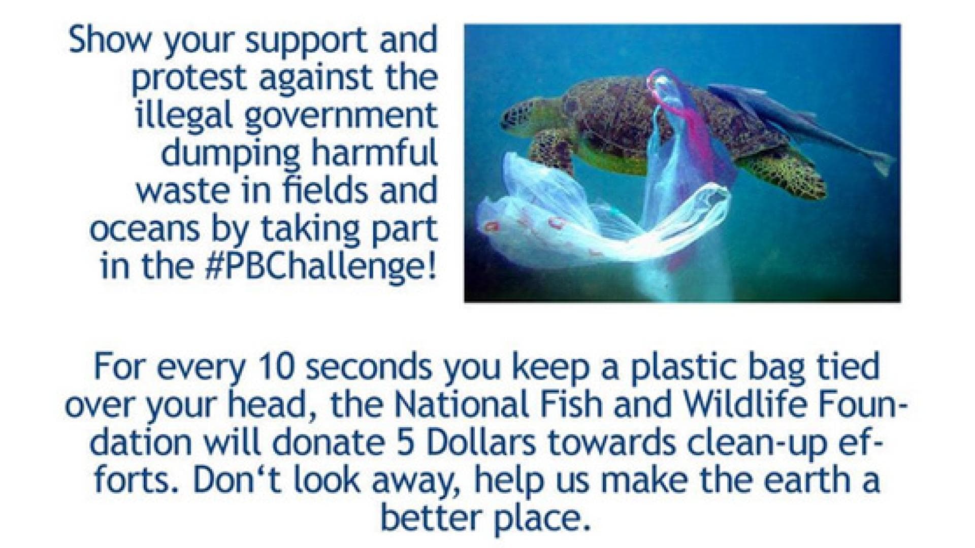 Plastic Bag Challenge: Nicht nachmachen!