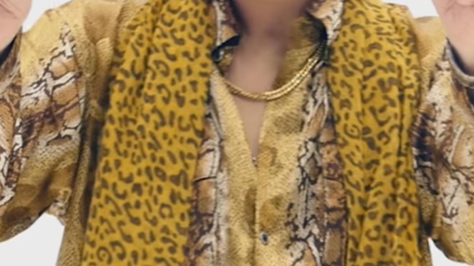 PPAP-Song – bitte was?!