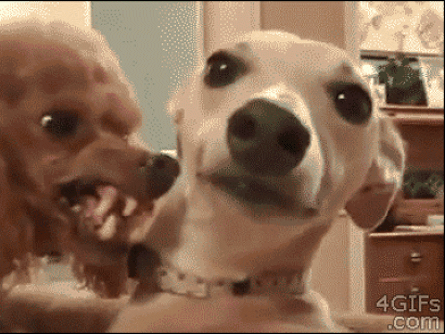 Nicht umarmen! Und zwar niemals!