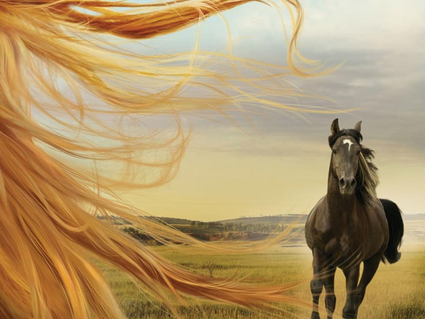 Ostwind 3 – Aufbruch nach Ora - Trailer