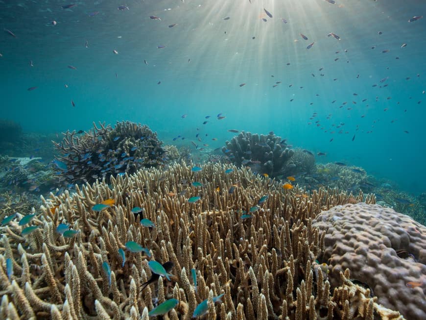 "Unser Planet": Wenn du diese Netflix-Doku gesehen hast, wird sich dein ...